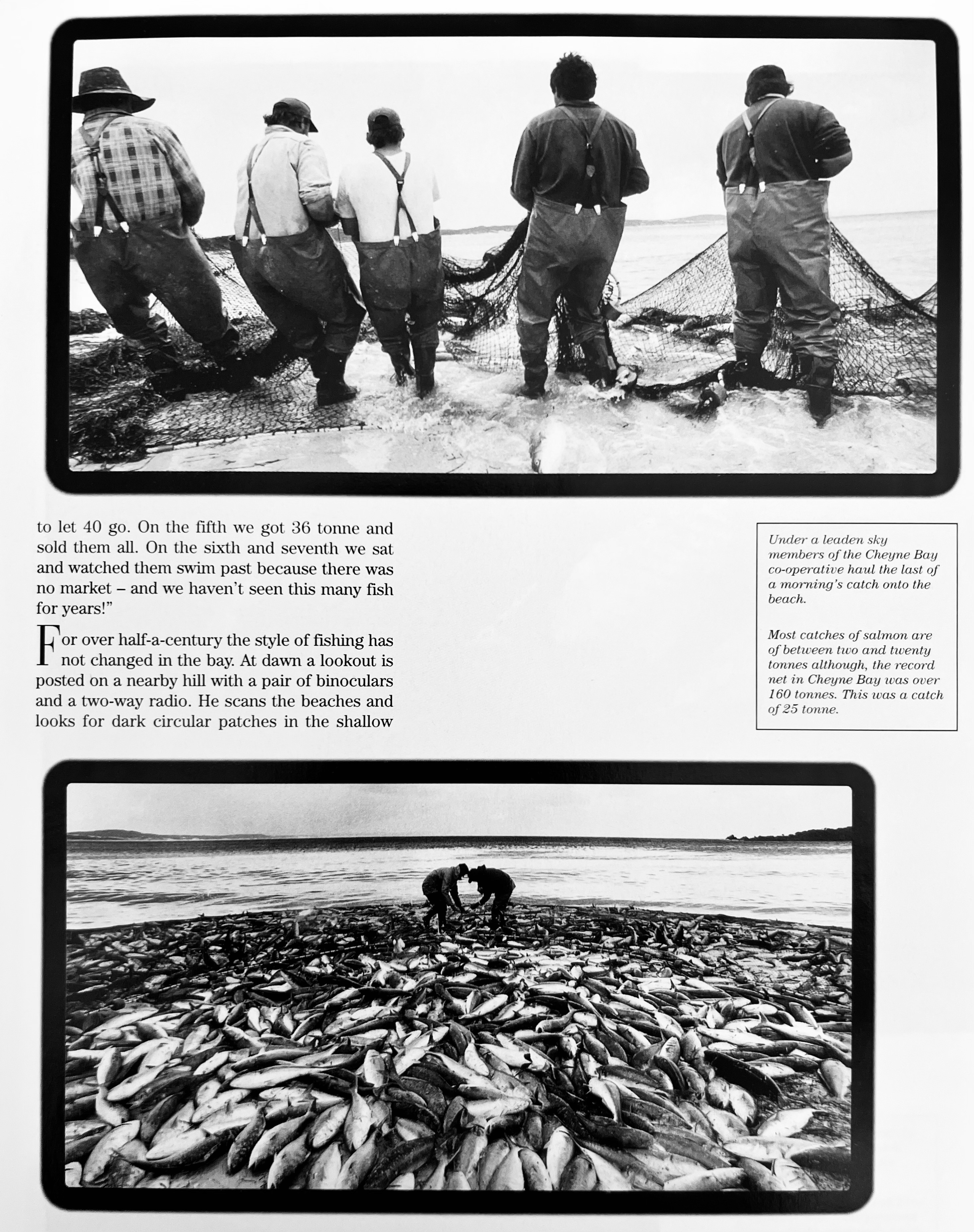 Blast From The Past – Reporters